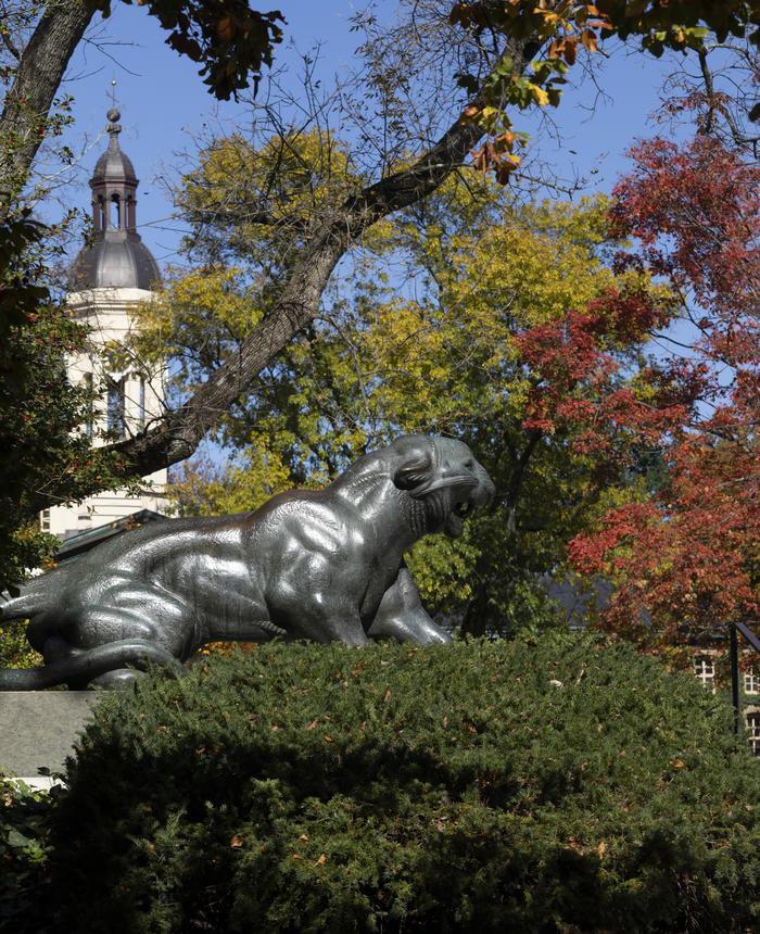 Apply for Aid: Prospective Students | Princeton Financial Aid